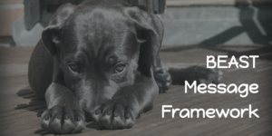 Introducing the BEAST Message Framework for Customer Engagement